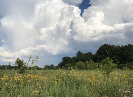 Boot Lake Nature Preserve - Elkhart County Parks