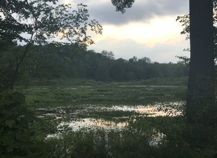 Events Archive - Elkhart County ParksElkhart County Parks