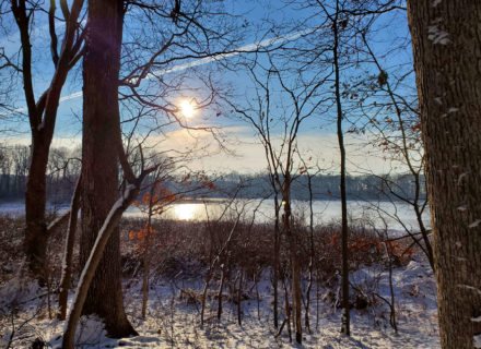 Boot Lake Nature Preserve - Elkhart County Parks