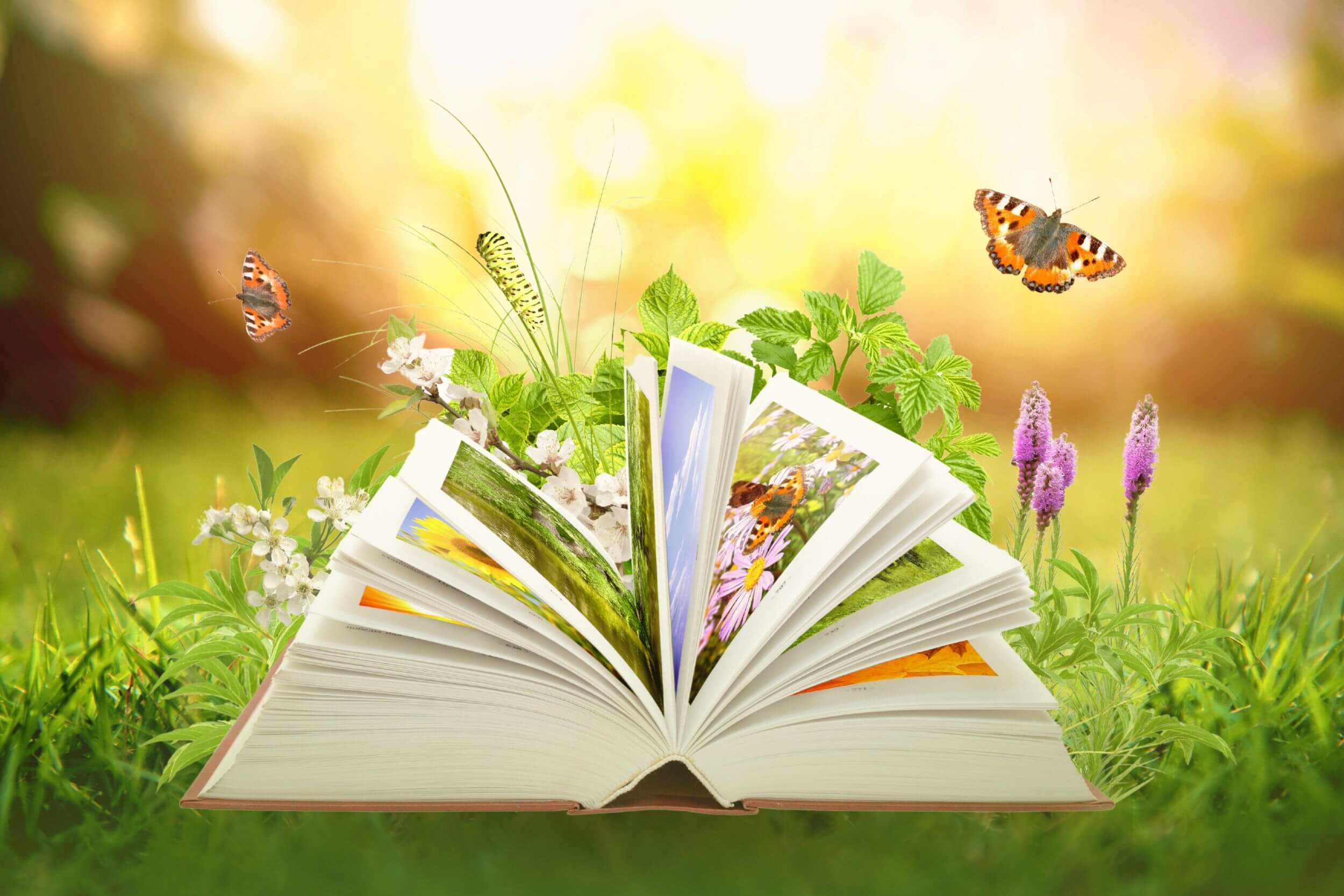 Books & Boots - Elkhart County Parks
